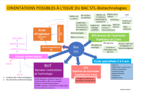BAC STL BIOTECHNOLOGIES – Lycée René-Josué VALIN