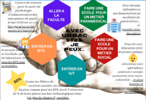 BAC ST2S – Lycée René-Josué VALIN