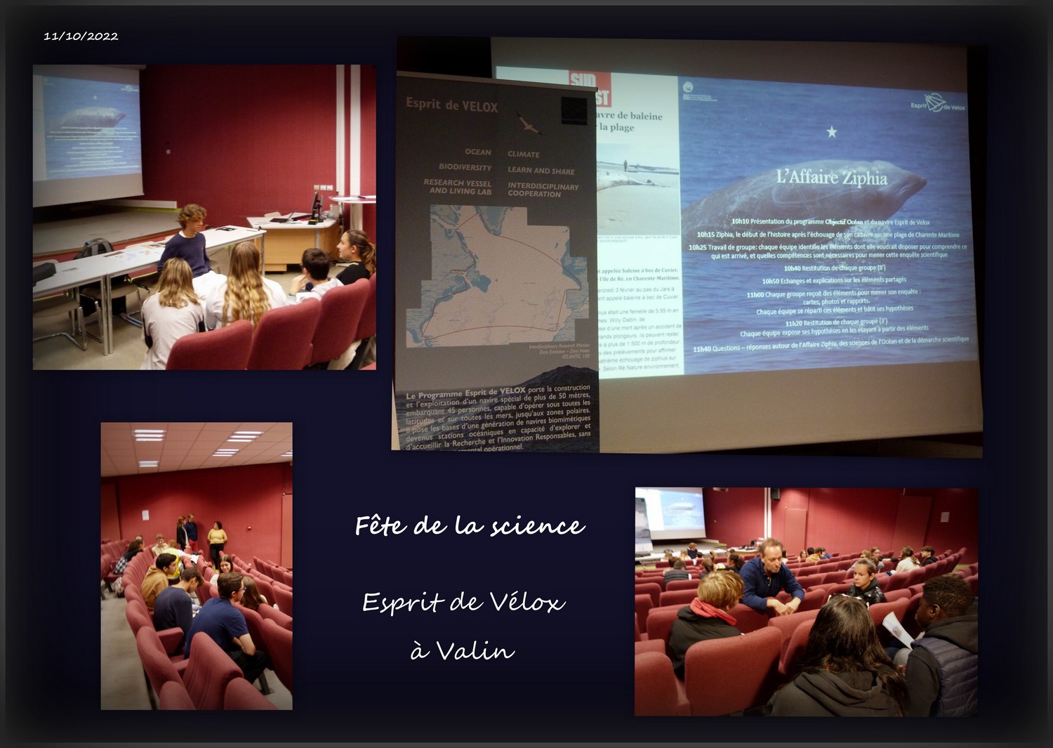 La Baleine Ziphia – Lycée René-Josué VALIN