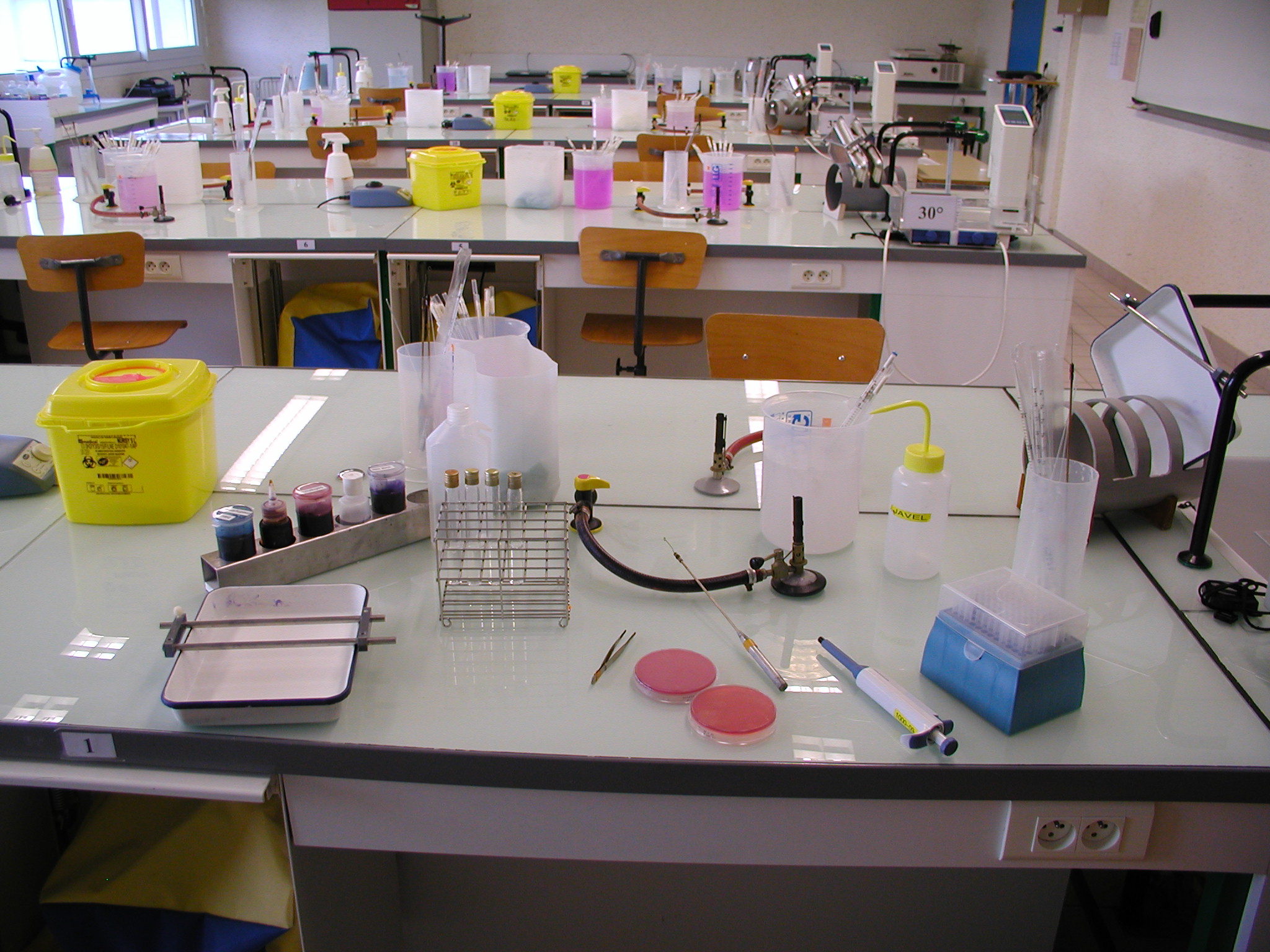 BTS Bioanalyses et Contrôles (archive) – Lycée René-Josué VALIN